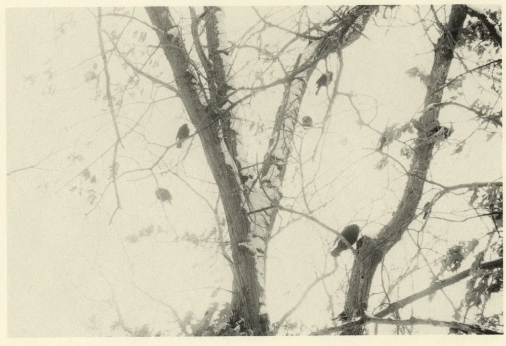 Weekend Portfolio: Harrison Miller — Musée Magazine