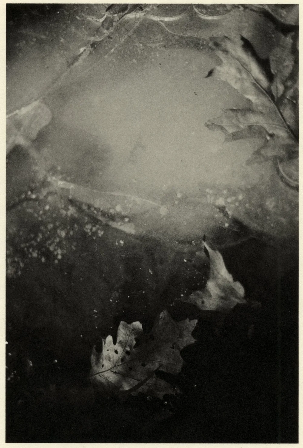 Weekend Portfolio: Harrison Miller — Musée Magazine