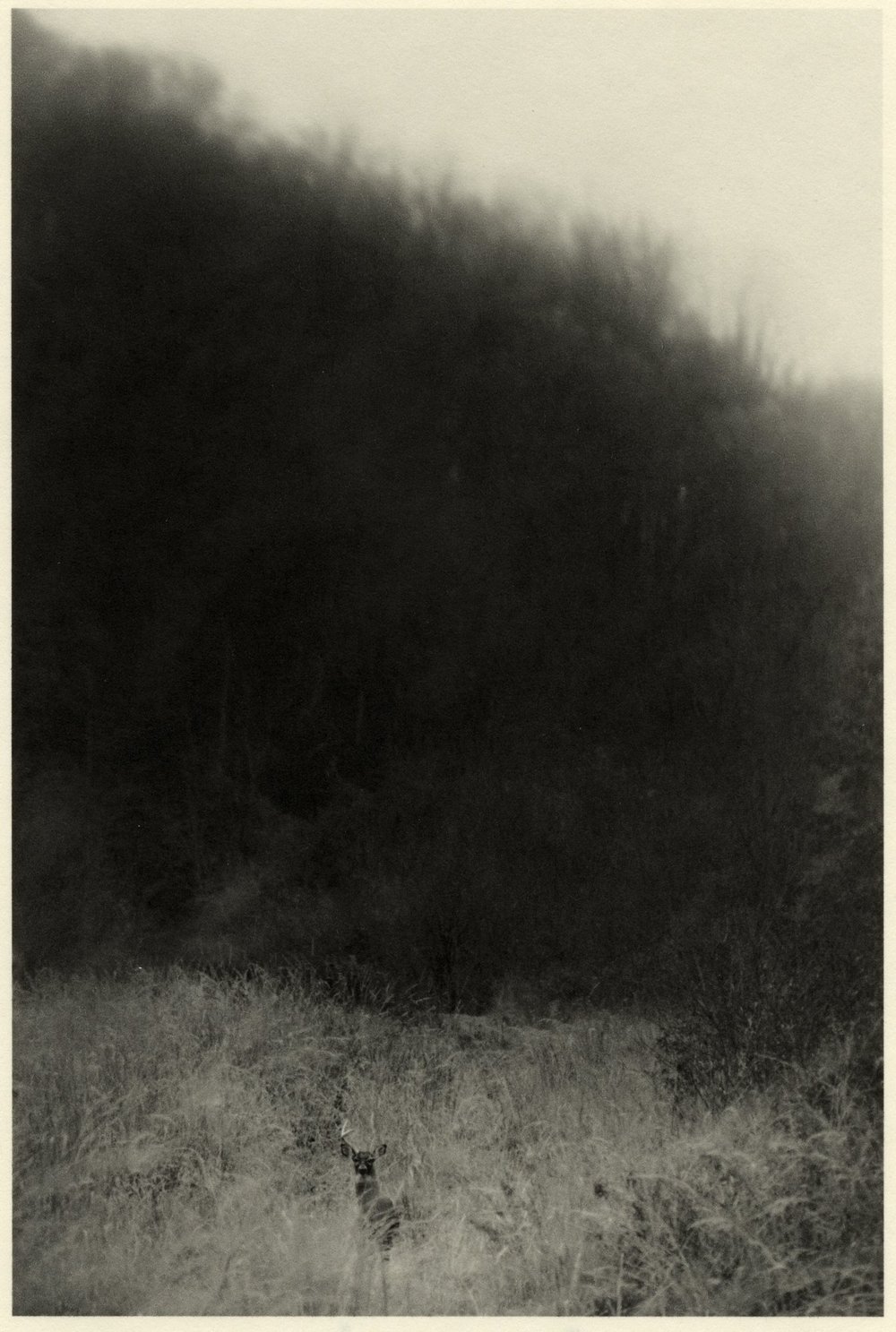 Weekend Portfolio: Harrison Miller — Musée Magazine