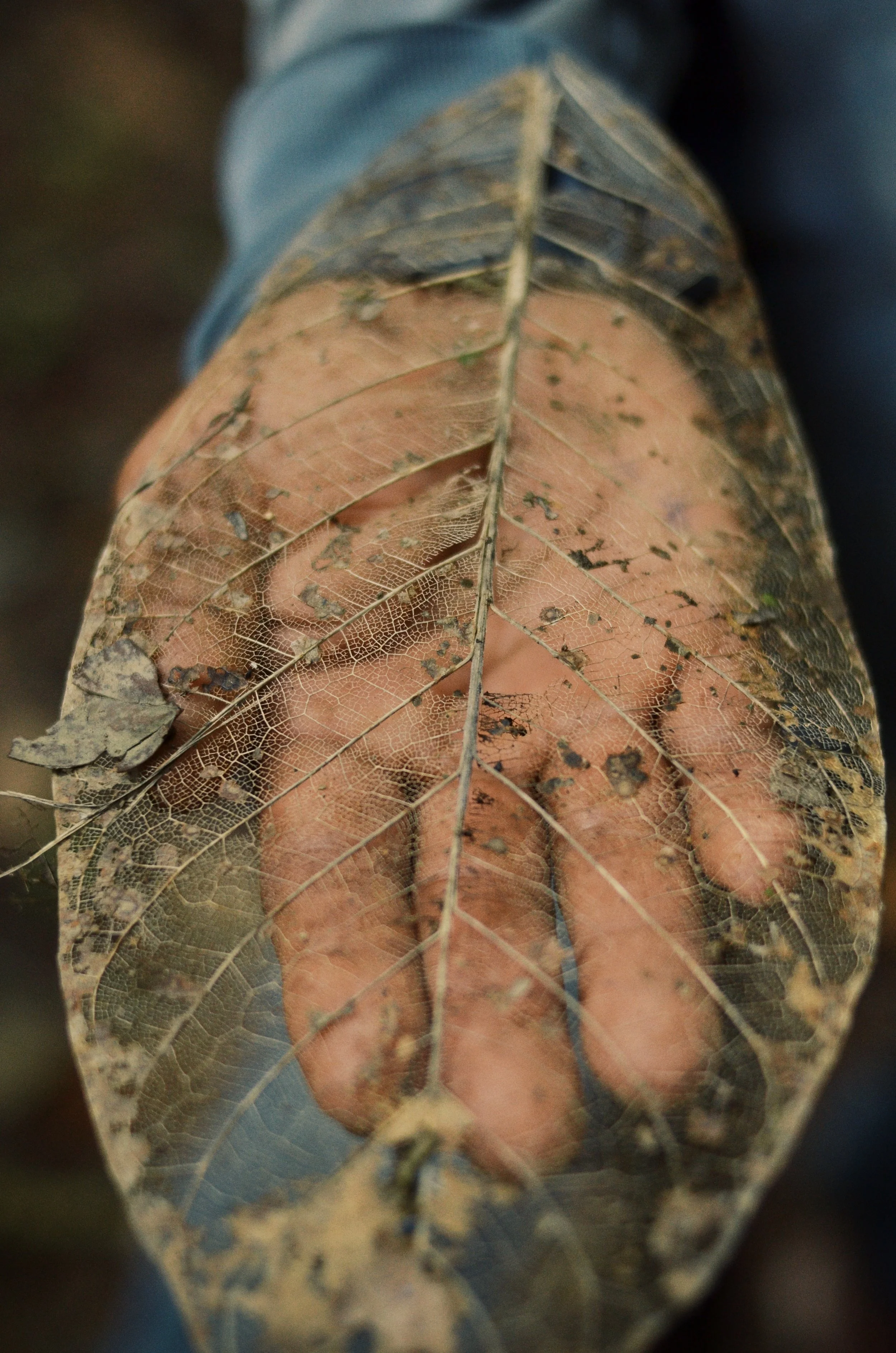 Collective Memory and Ancient Wisdom: Sandra Ramírez's Photographic ...