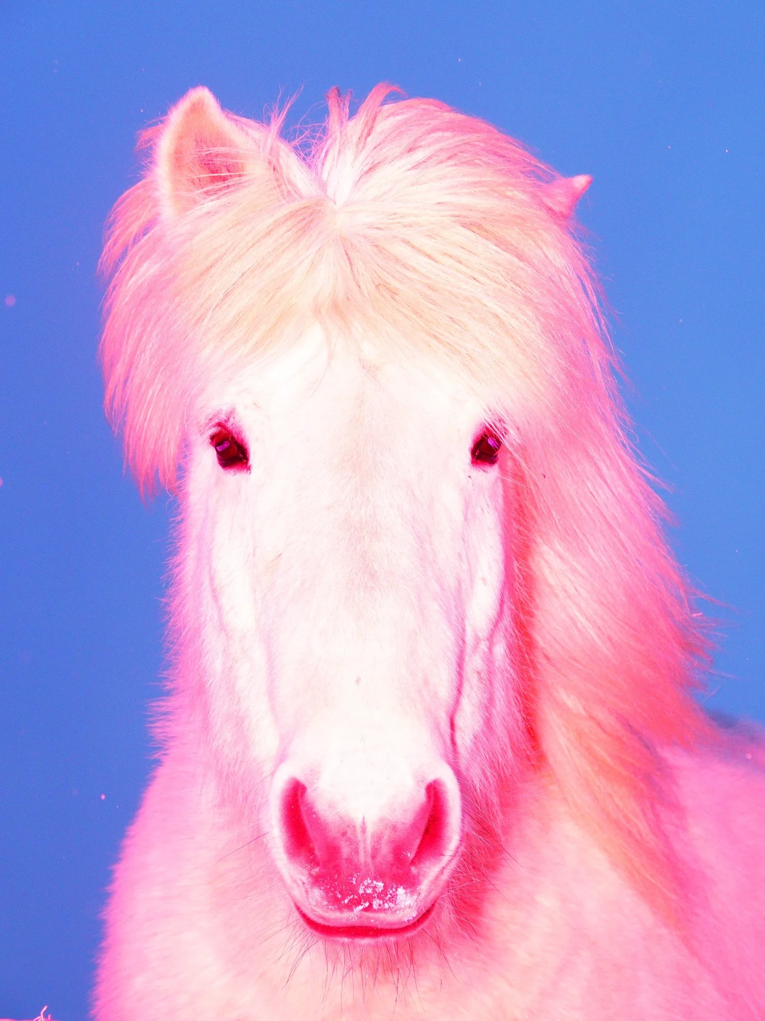 Sasha Elege — Musée Magazine