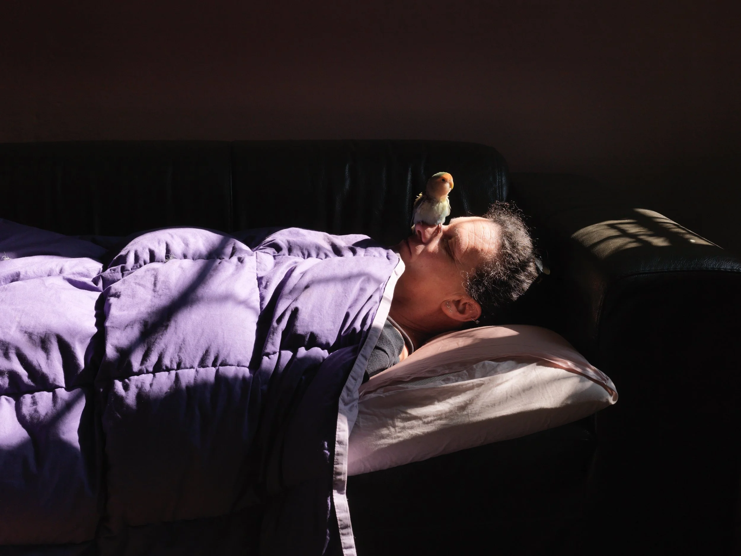 David Farrell: Solastalgia | International Centre for the Image — Musée ...