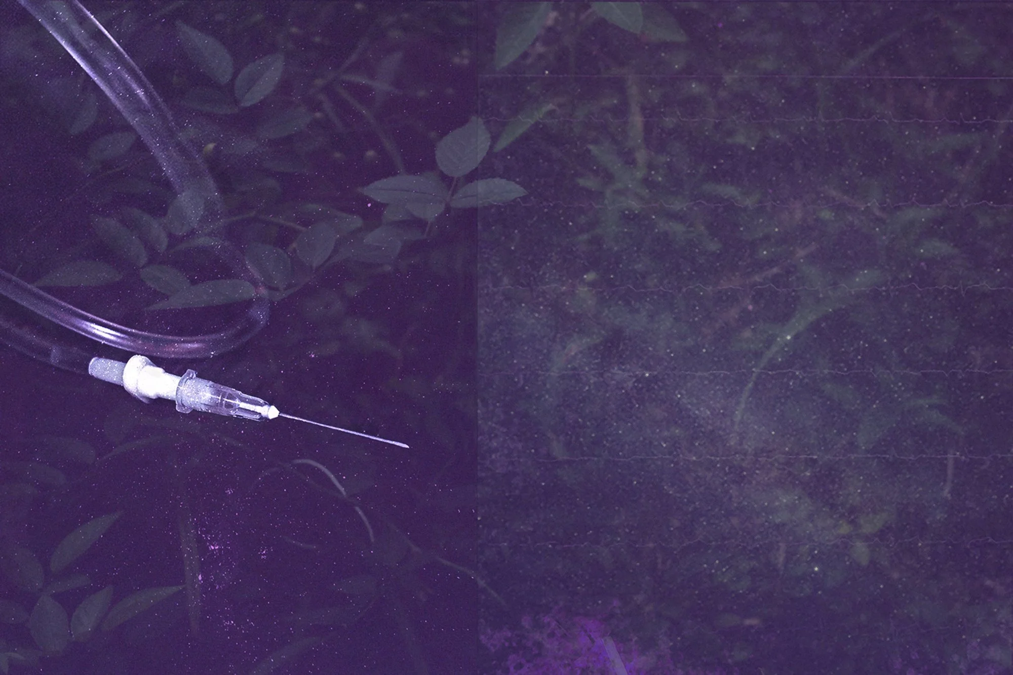 Bárbara Lissa | Everything that dies still lives somewhere — Musée Magazine
