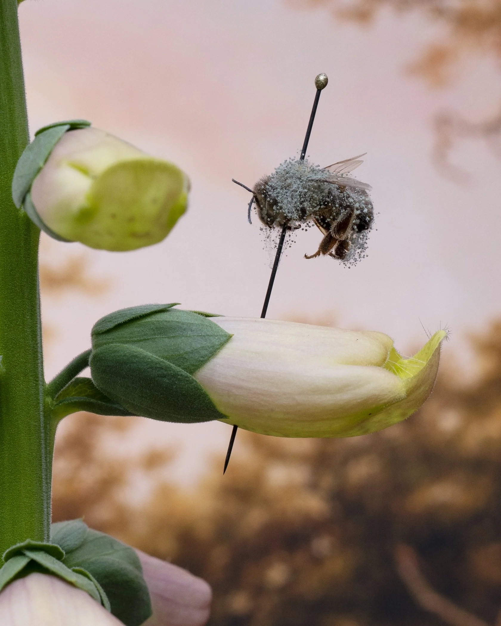 Emma Ressel: Extant Erosions | Houston Center for Photography — Musée ...