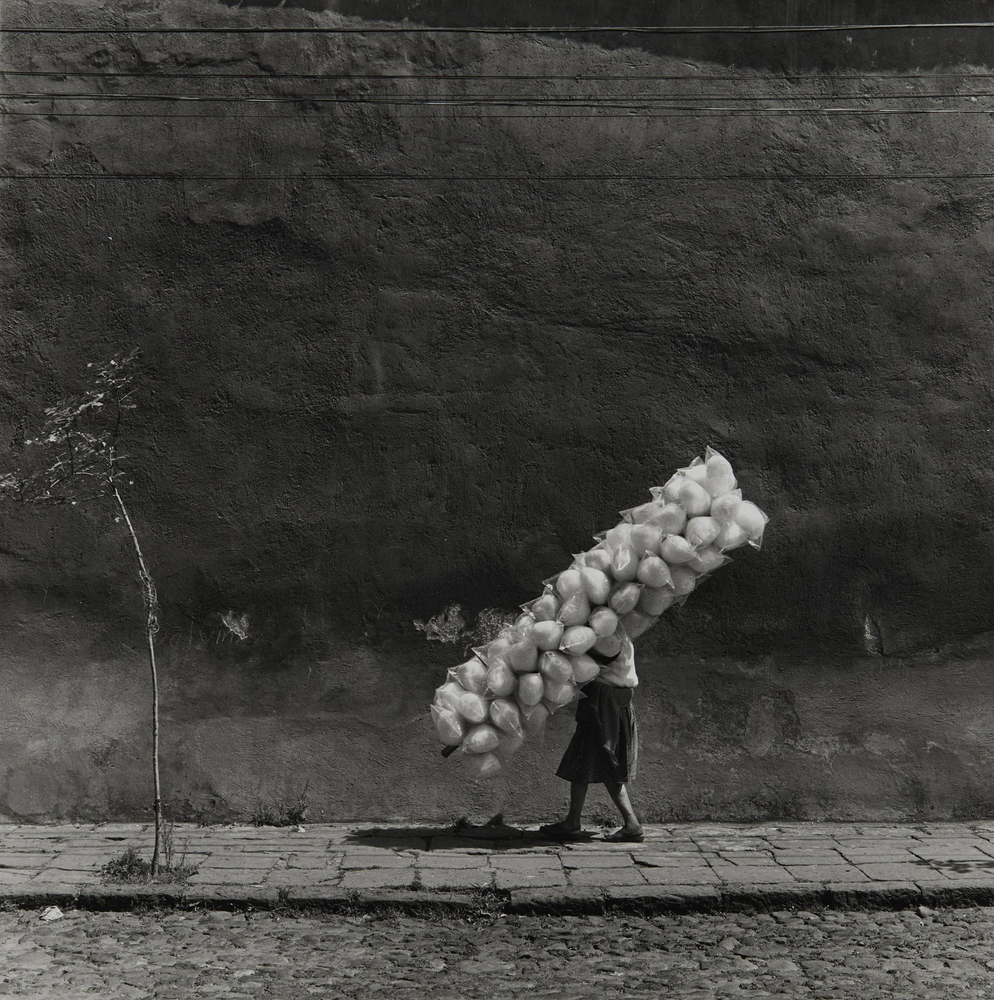 MOCP AT FIFTY: COLLECTING THROUGH THE DECADES | MUSEUM OF CONTEMPORARY ...