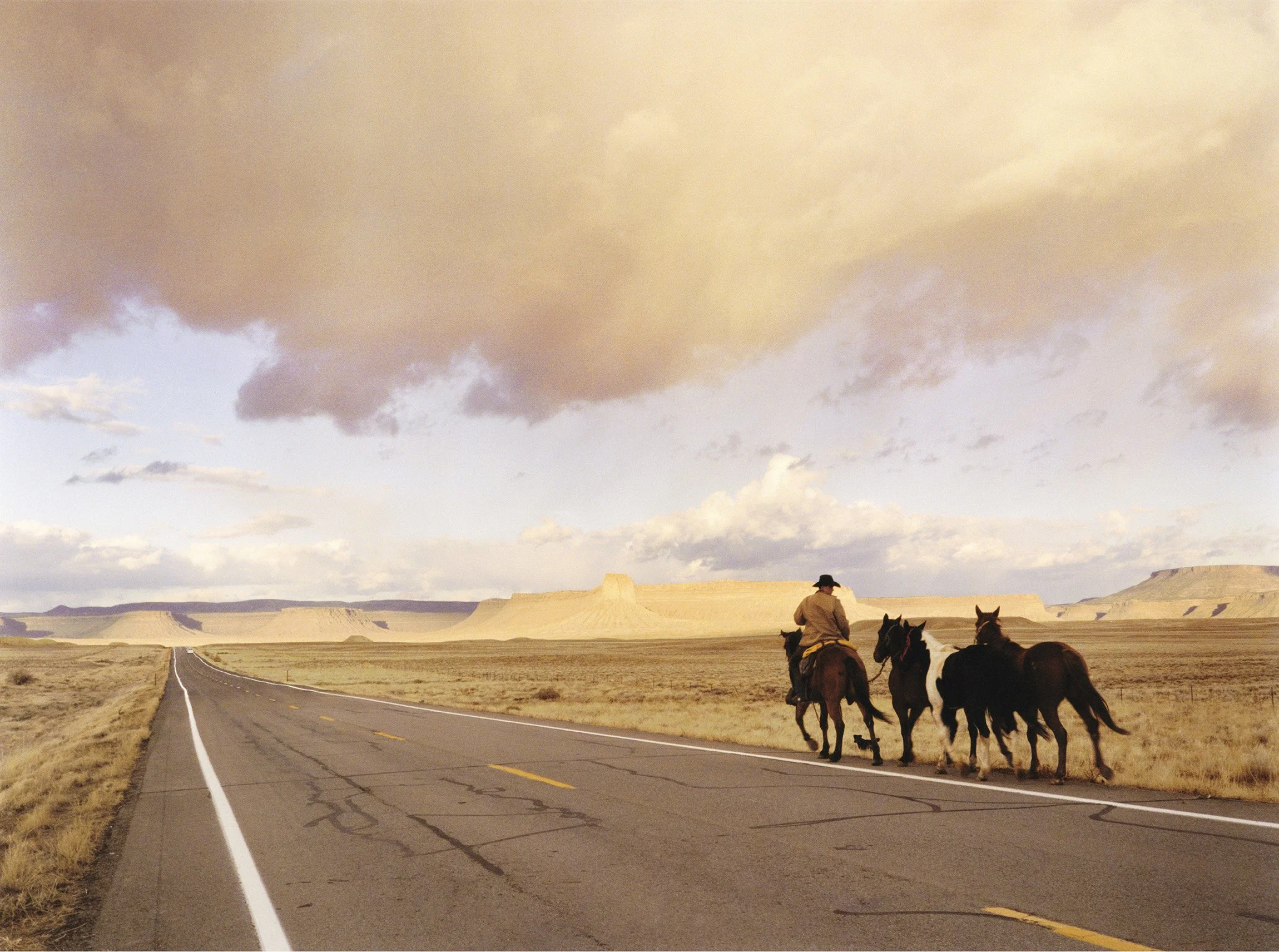 Jane Hilton: Lightfall | Palo Gallery — Musée Magazine