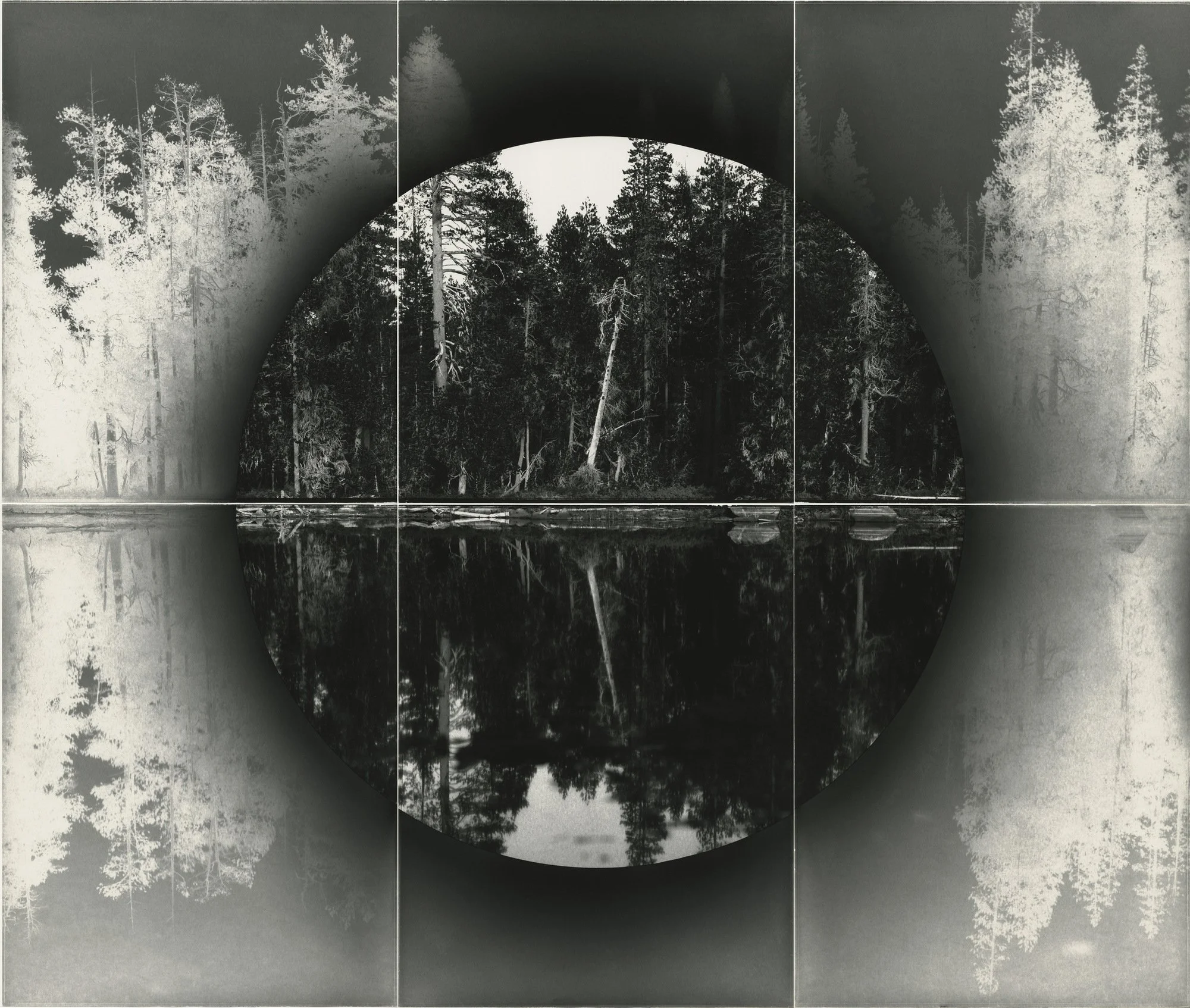 Chris McCaw: Reversals and Revolutions | Haines Gallery — Musée Magazine
