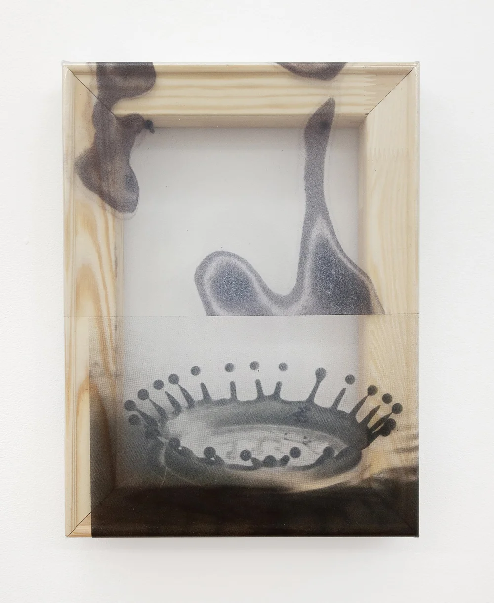 Exhibition Review: Rachel Libeskind Transparent Things — Musée Magazine