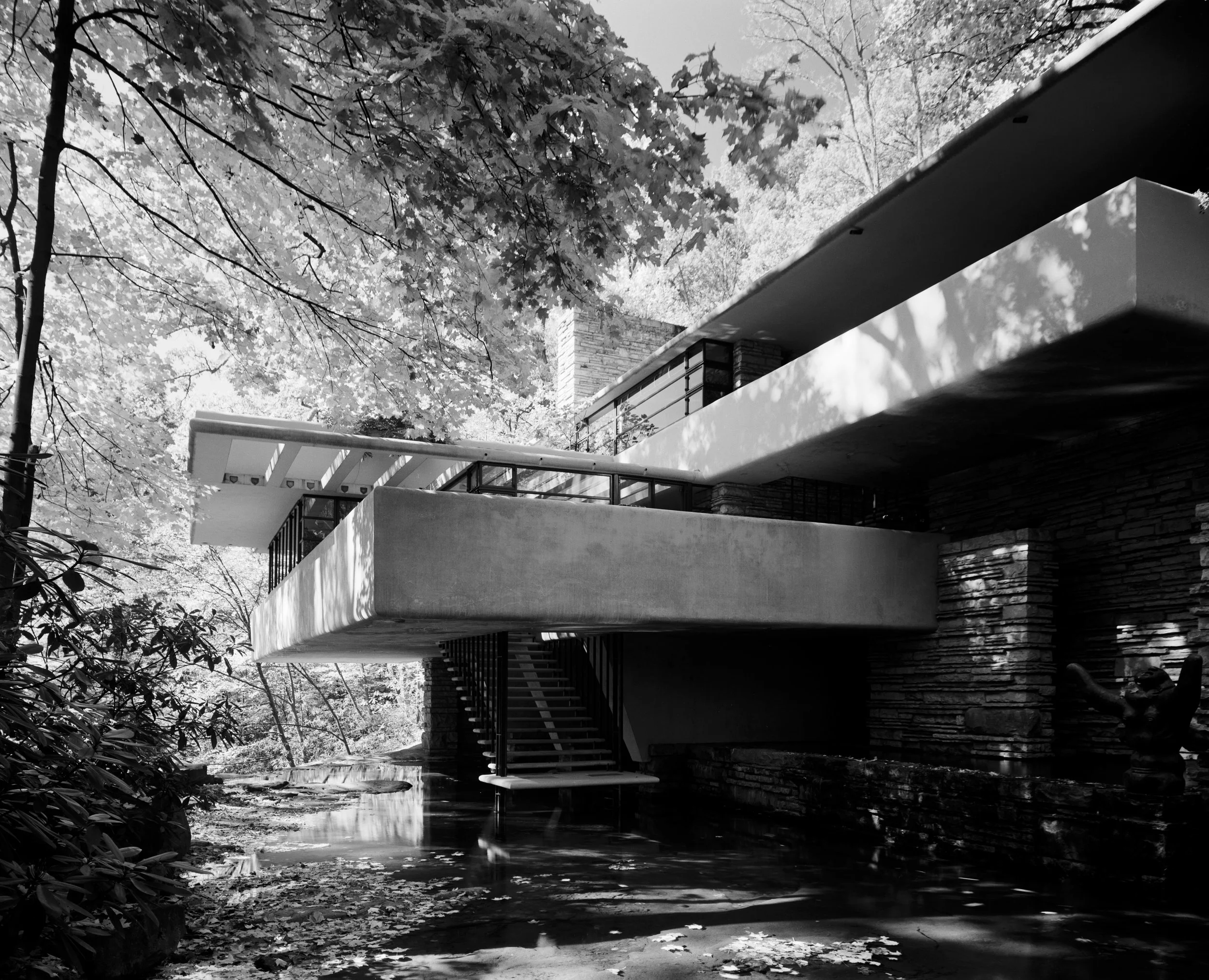 Ezra Stoller: Deep Water Deprived of Randomness — Musée Magazine