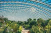 Architecture: The Great Glasshouse Dome in Wales — Musée Magazine