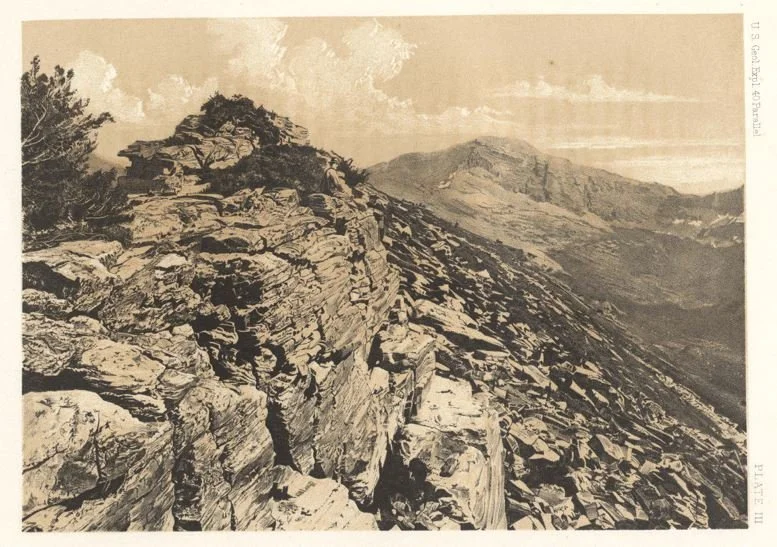 A/ Political Rocks | Henry Art Gallery — Musée Magazine