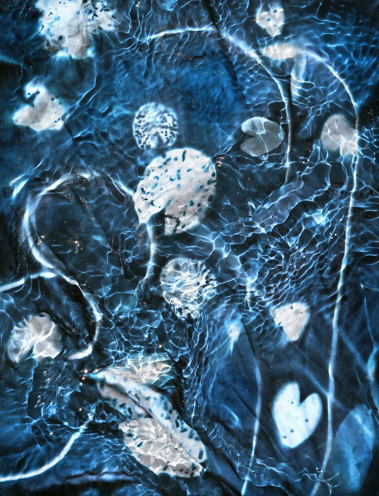 Fern L. Nesson, Nanci Kahn + Meredith Kennedy, Cody Cobb + Raymond ...