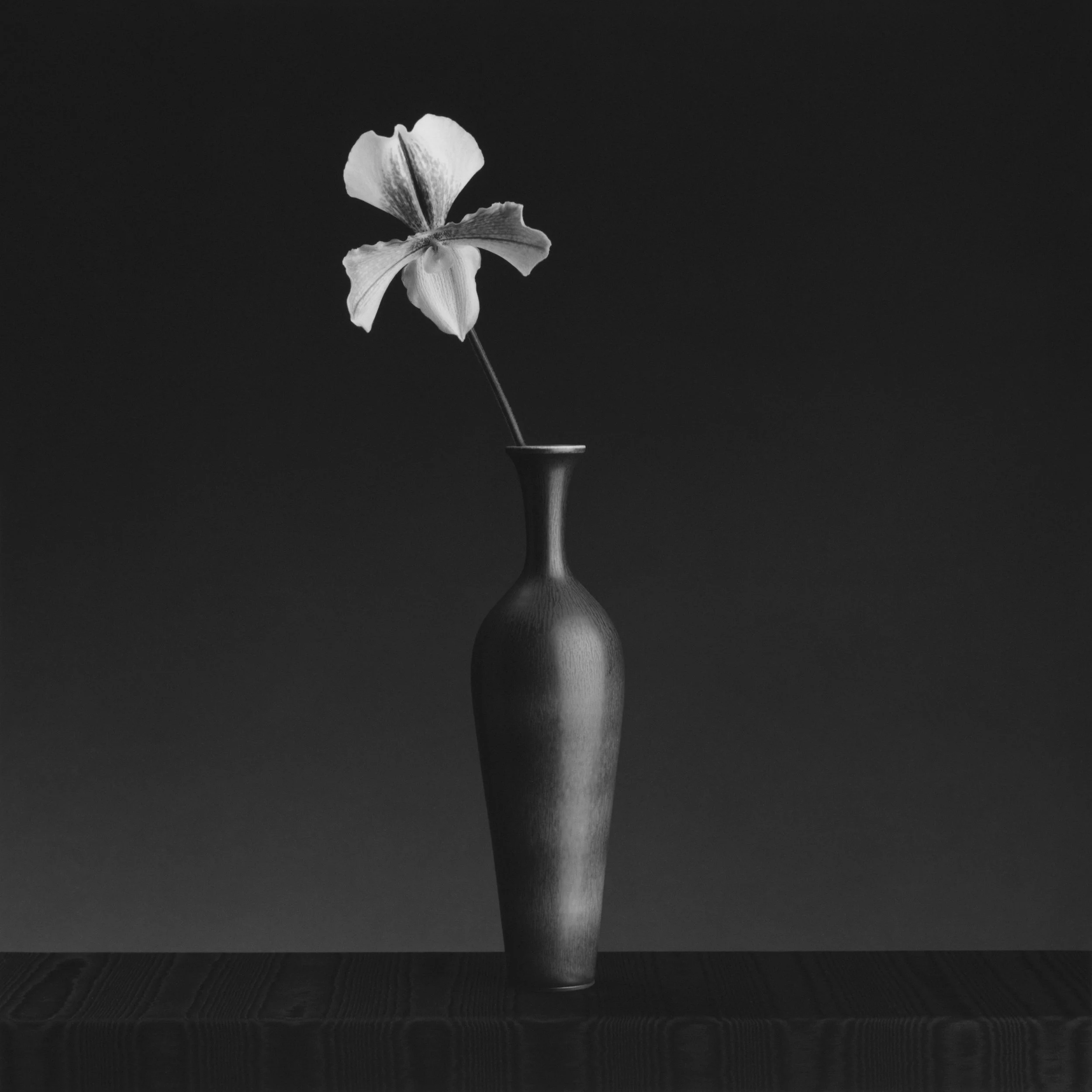 Currier Museum of Art | Filippo de Pisis and Robert Mapplethorpe: A ...