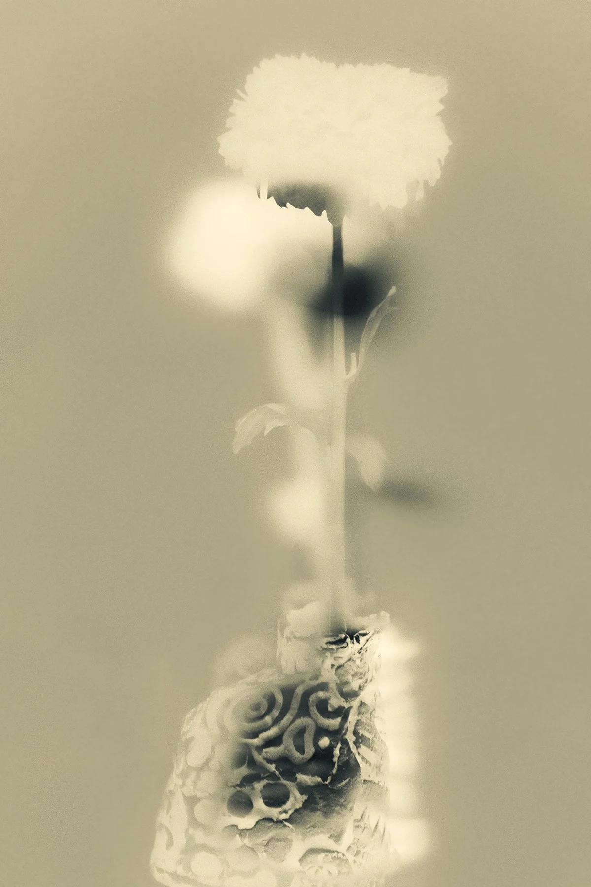 Piper Smith: The Way of Flowers | Soho Photo Gallery — Musée Magazine