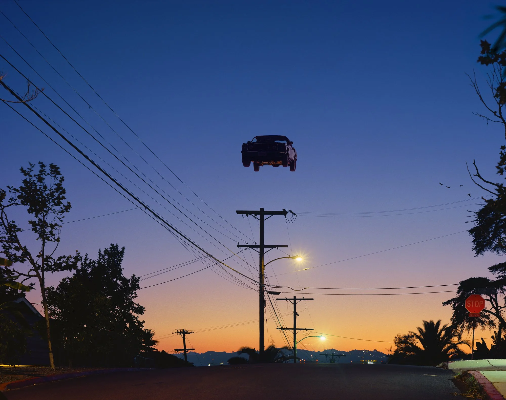 2025 - The Year in Pictures | Danziger Gallery — Musée Magazine