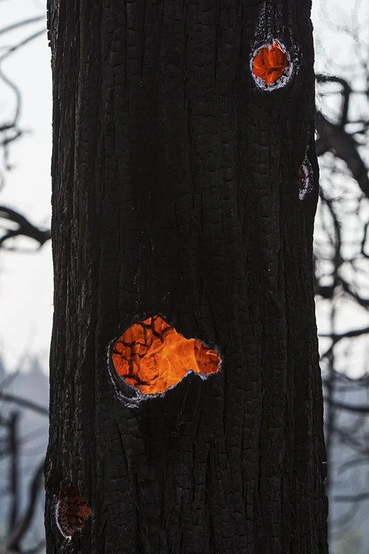 Photo Journal Monday: Tracy Barbutes — Musée Magazine