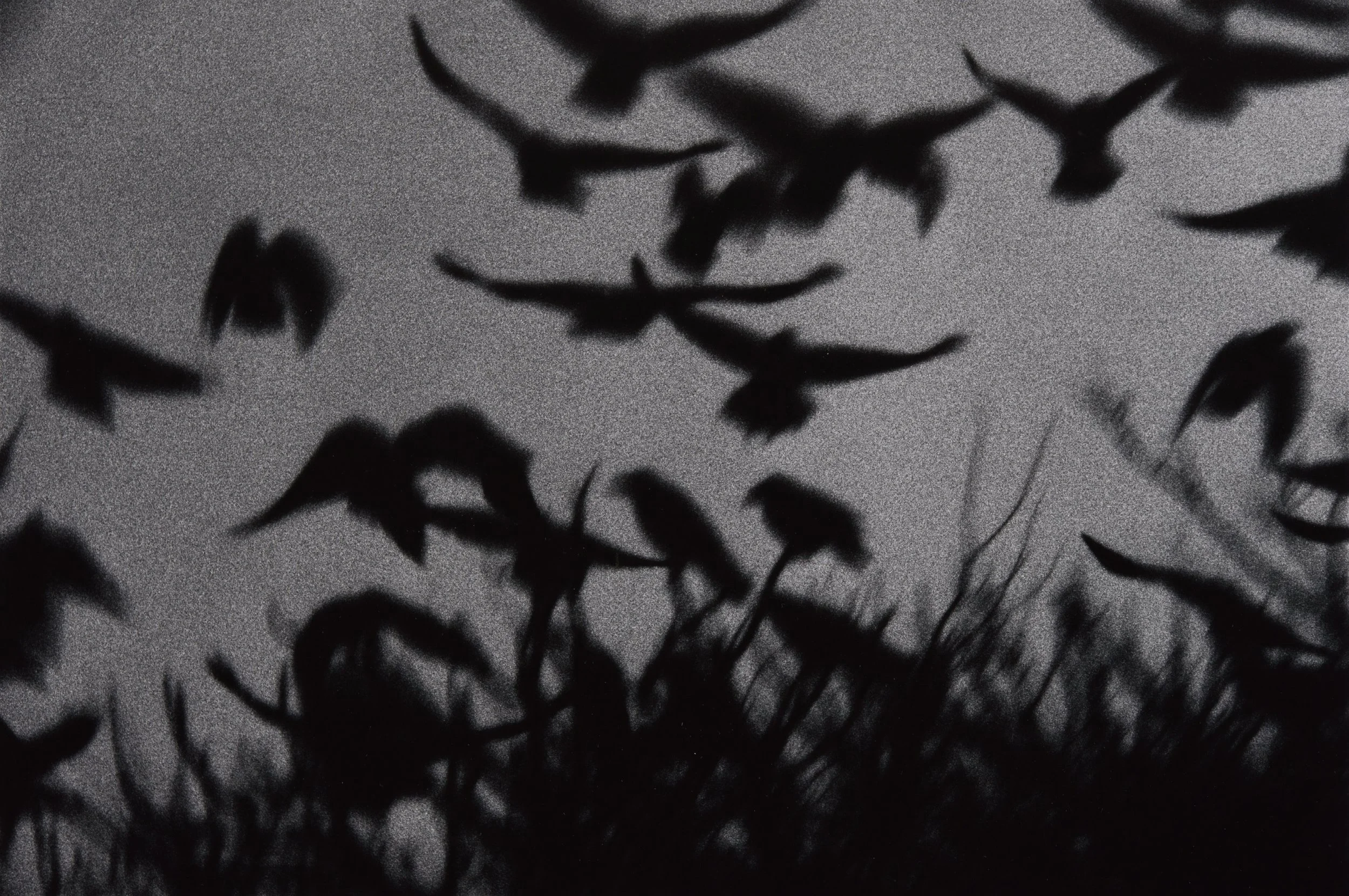 Masahisa Fukase 1961–1991 Retrospective — Musée Magazine