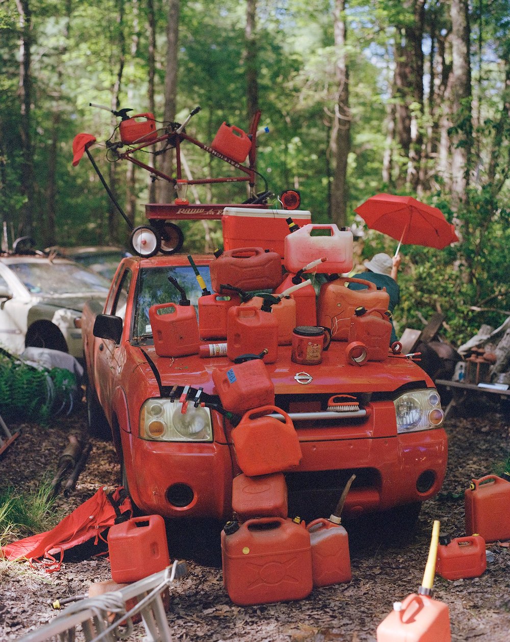 Phoebe Shuman-Goodier | Bad Dogs — Musée Magazine