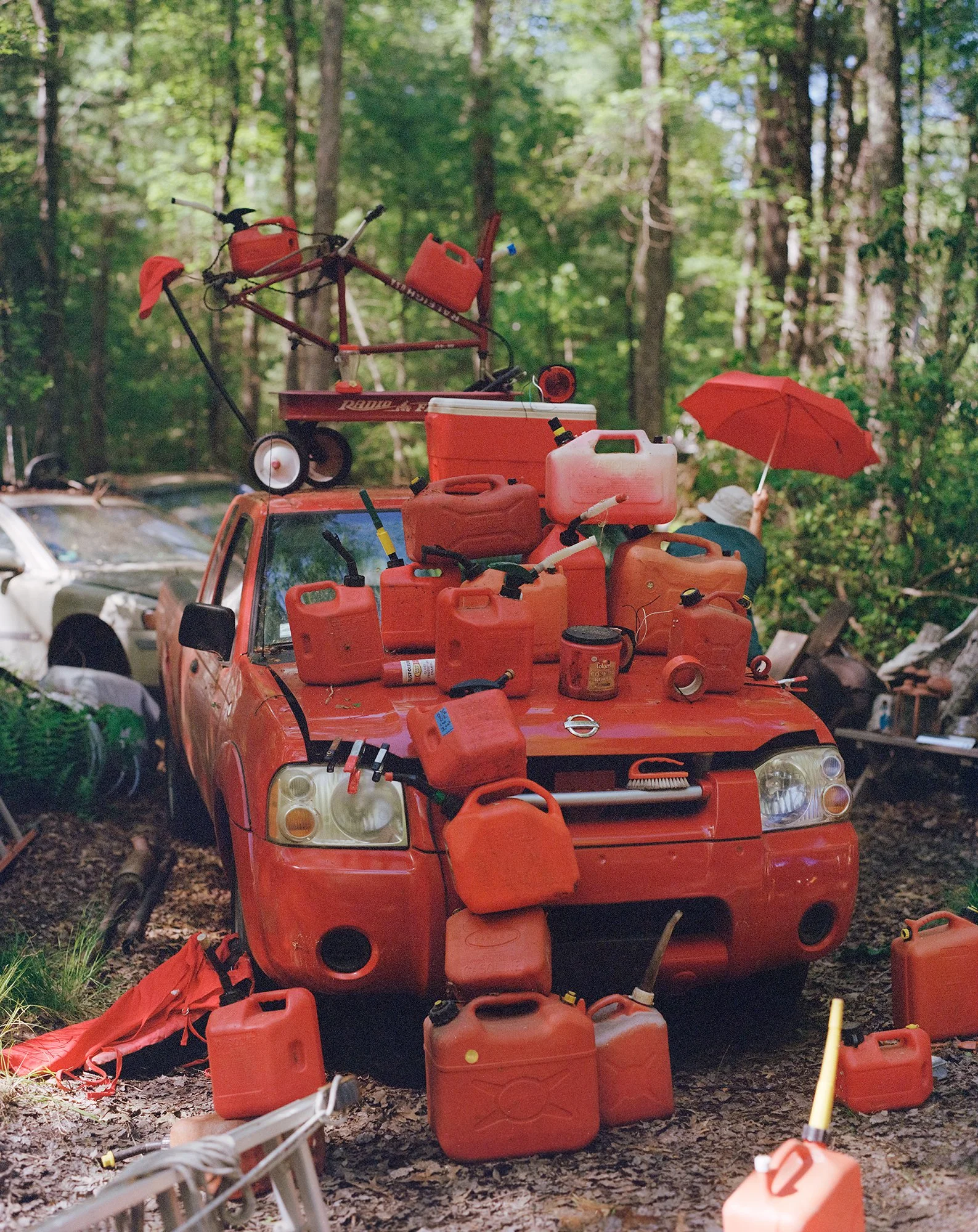 Phoebe Shuman-Goodier | Bad Dogs — Musée Magazine