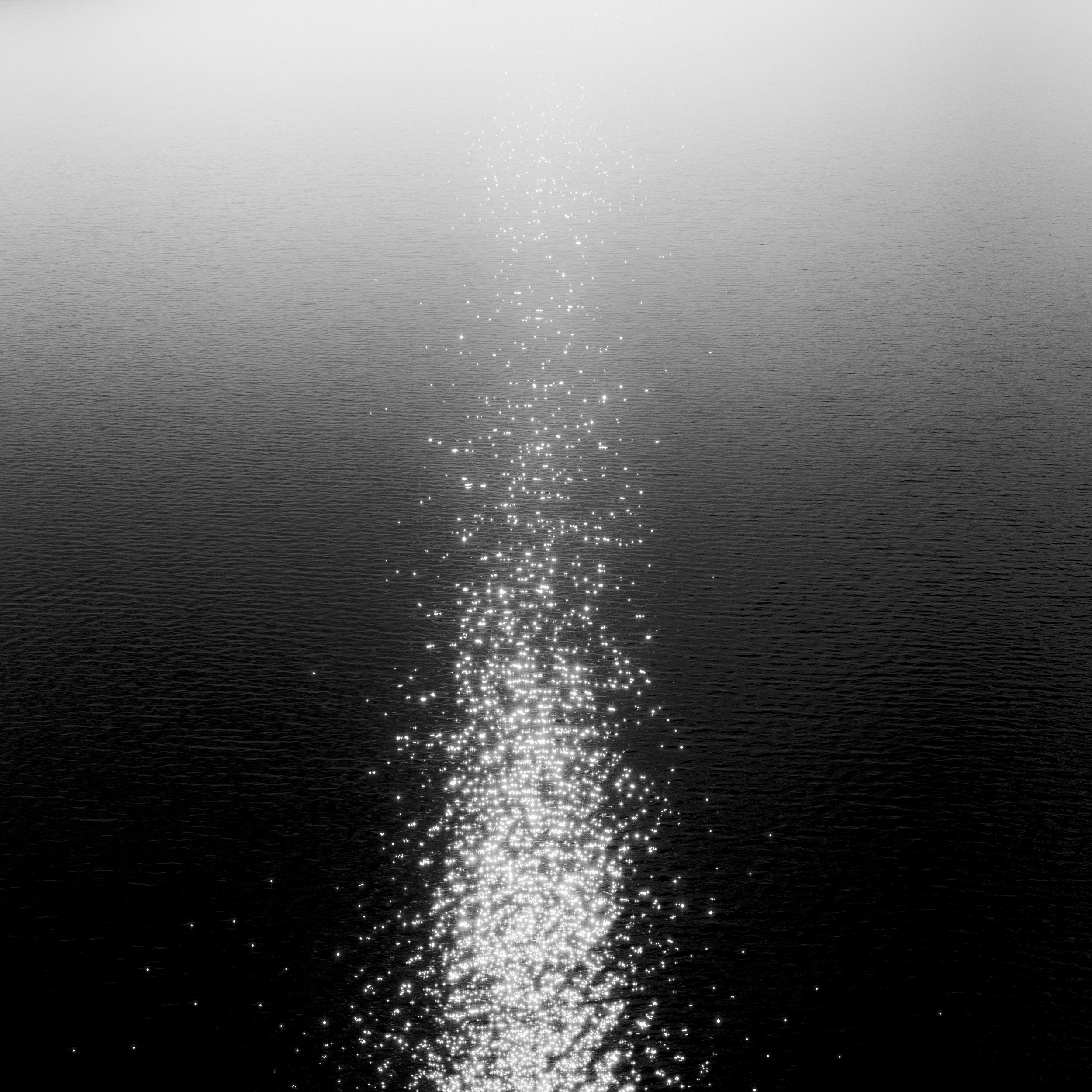 Jeffrey Conley: An Ode to Nature | The Peter Fetterman Gallery — Musée ...