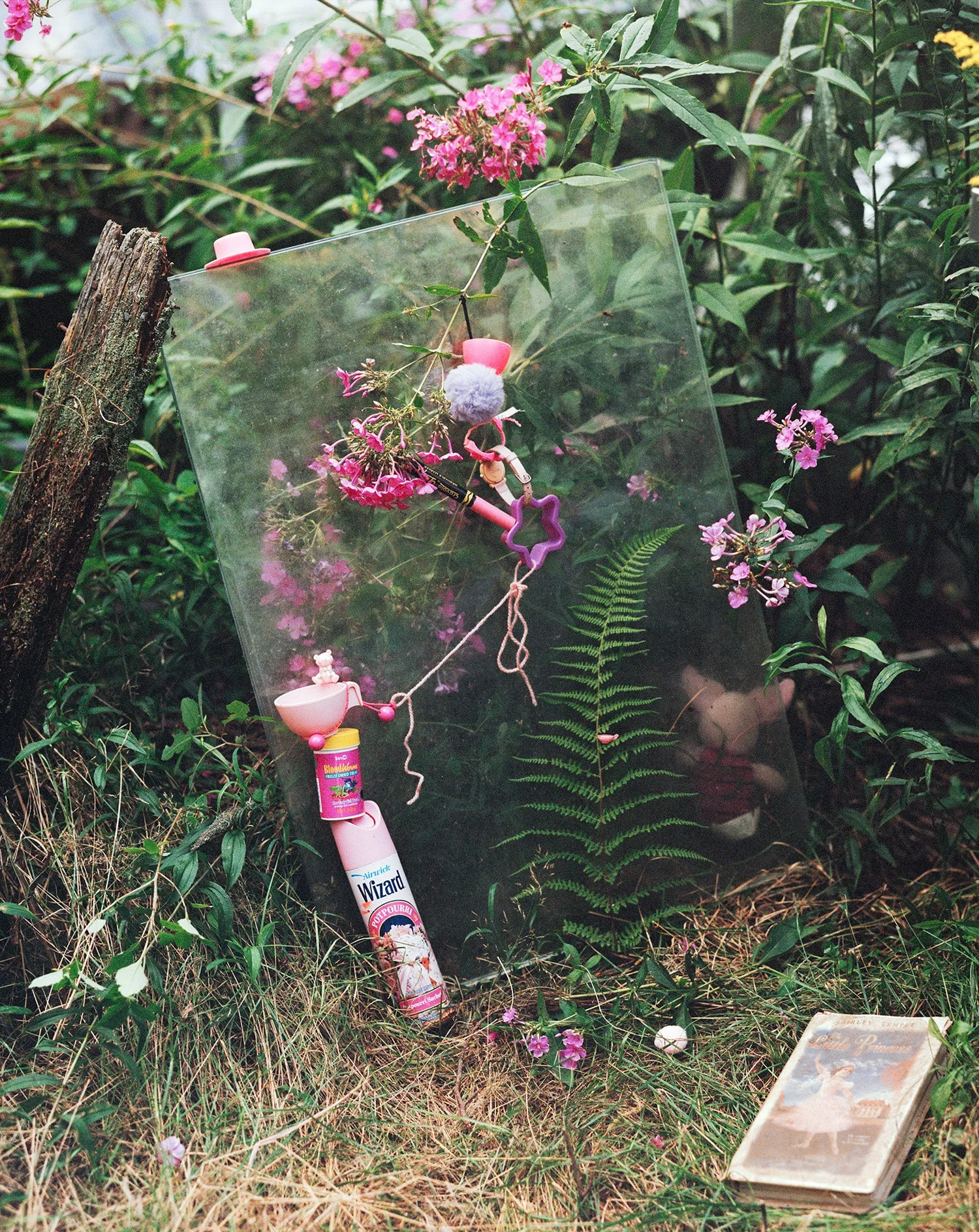 Phoebe Shuman-Goodier | Bad Dogs — Musée Magazine