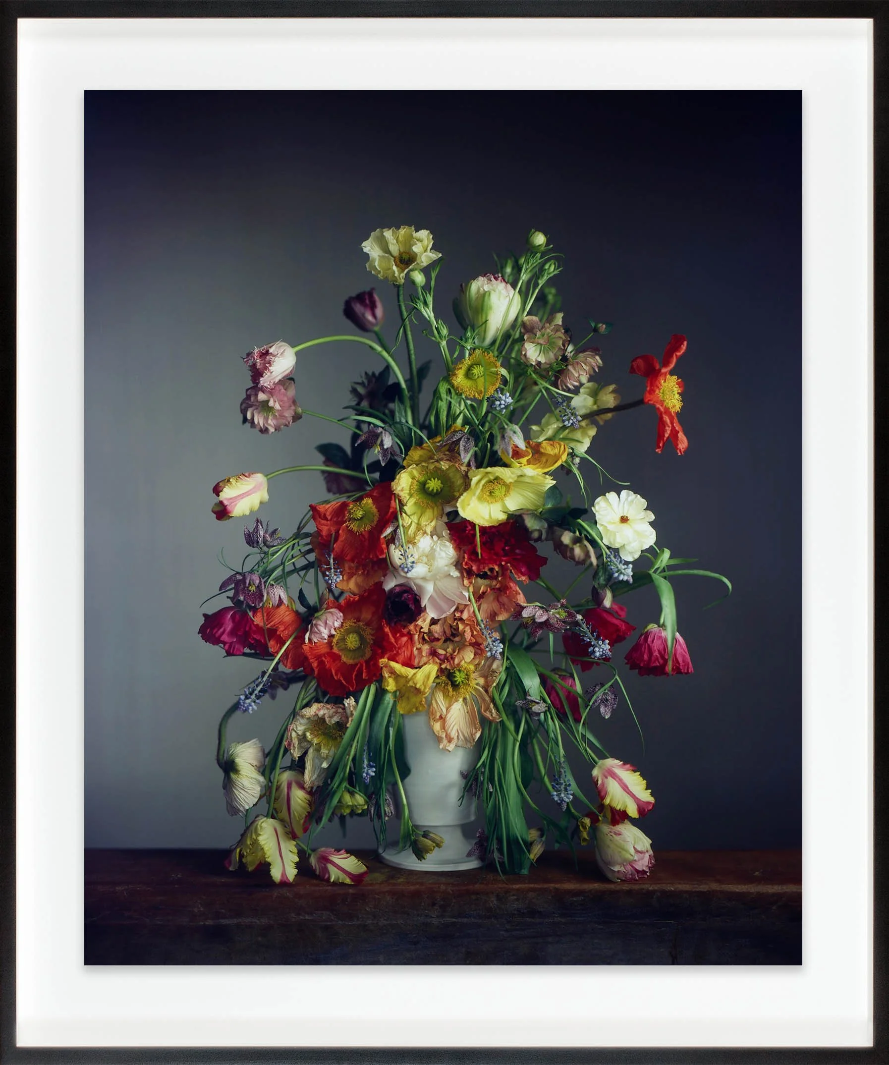 Richard Learoyd | Fraenkel Gallery — Musée Magazine