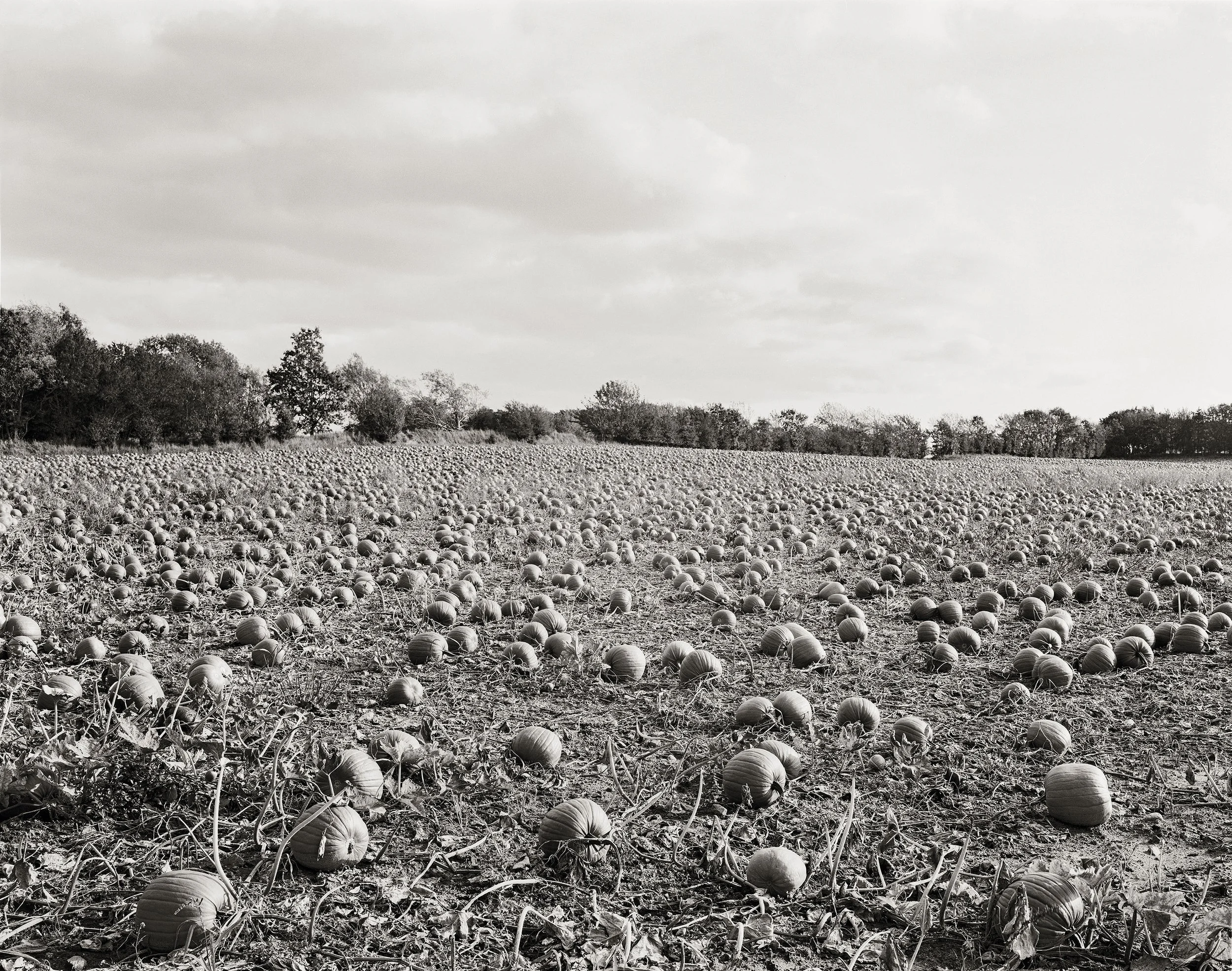 New Danish Photography #01 — Musée Magazine