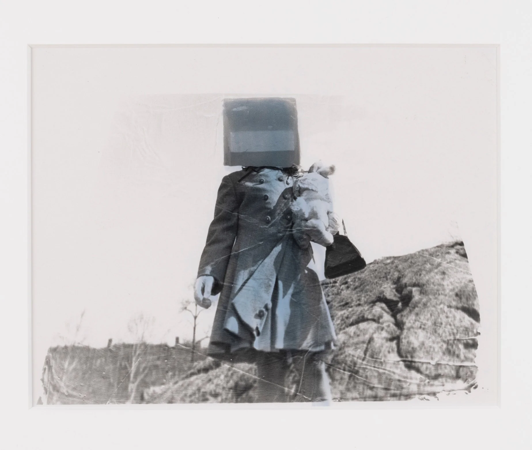 Darrel Ellis | Regeneration — Musée Magazine