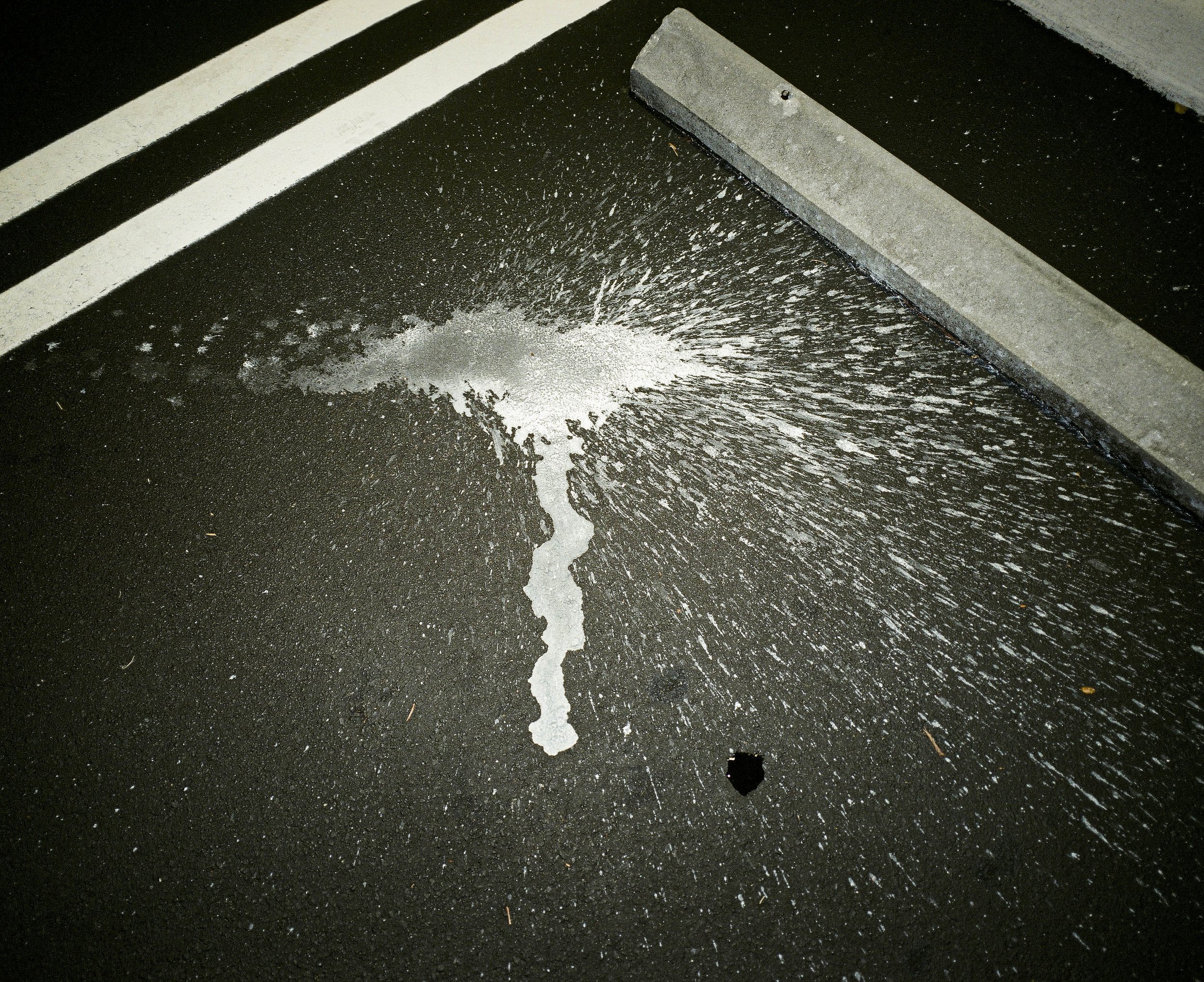 Robert Fehre: A Hunt for Beauty — Musée Magazine