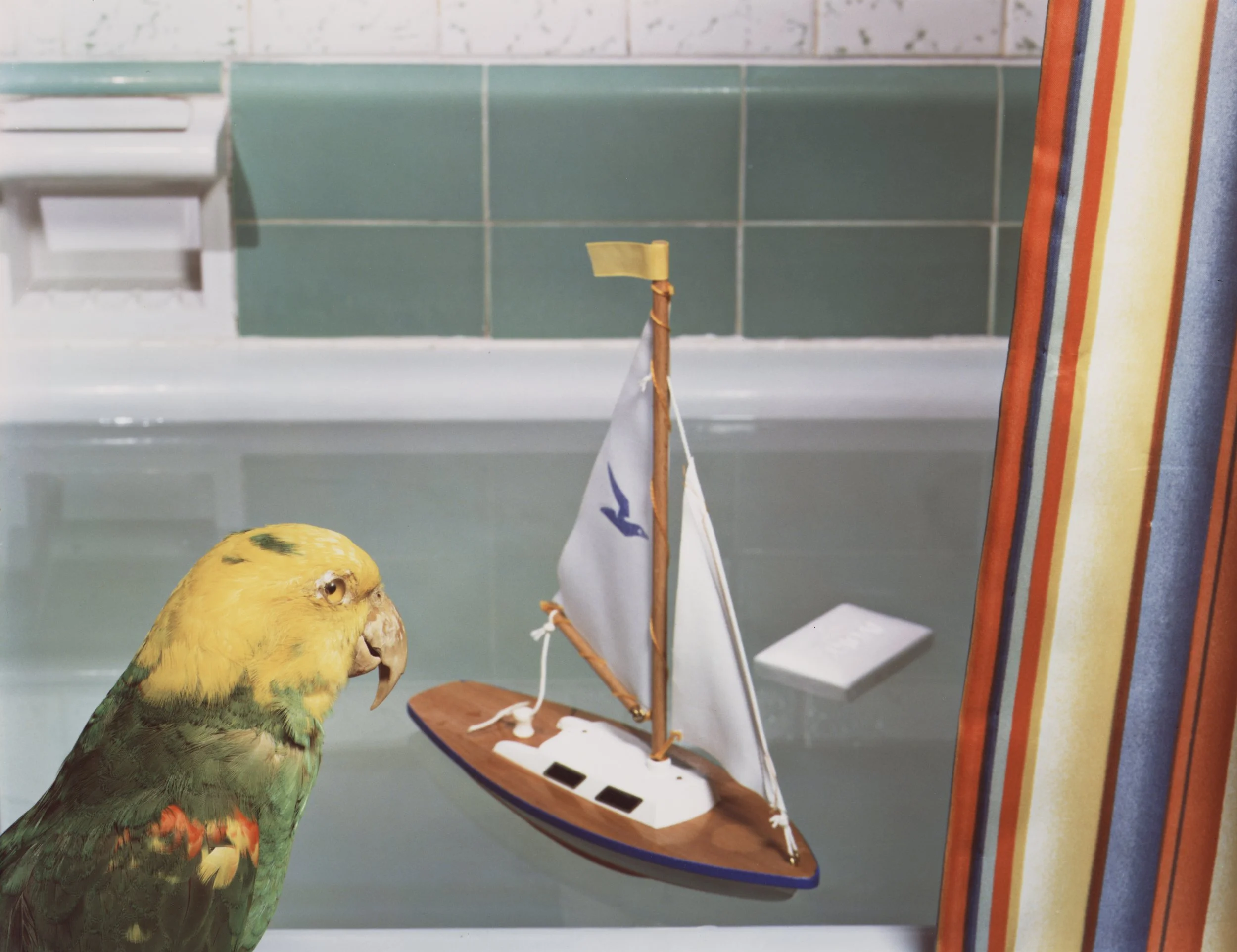Funny Business: Photography and Humor | Phoenix Art Museum — Musée Magazine