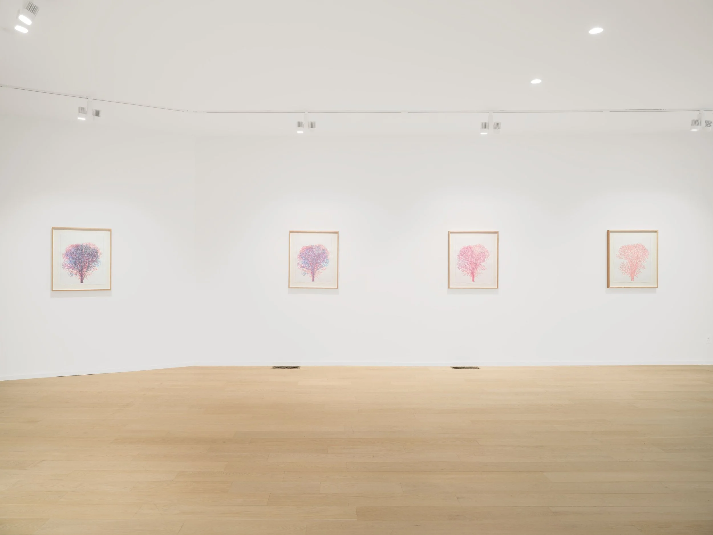 Numbers and Trees: The Arizona Watercolors | Charles Gaines — Musée ...