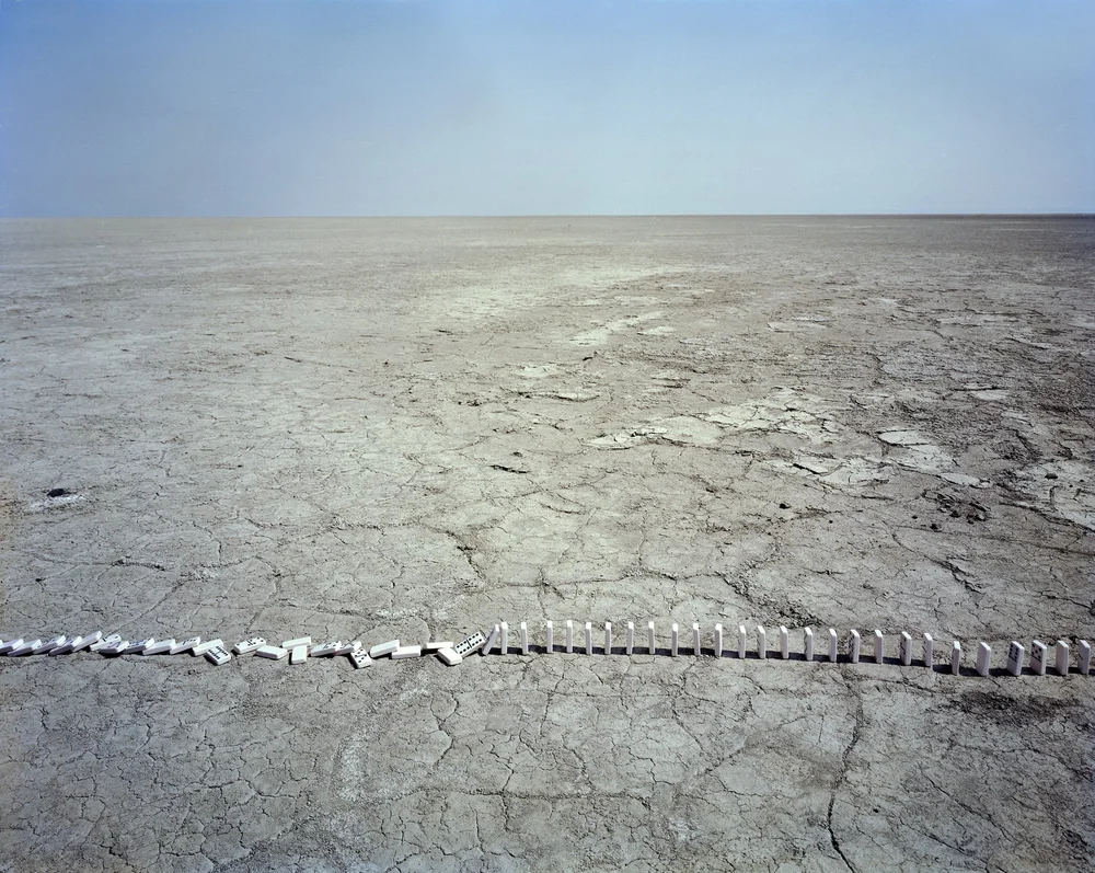 Exhibition Review: Adam Ekberg | Minor Spectacles — Musée Magazine