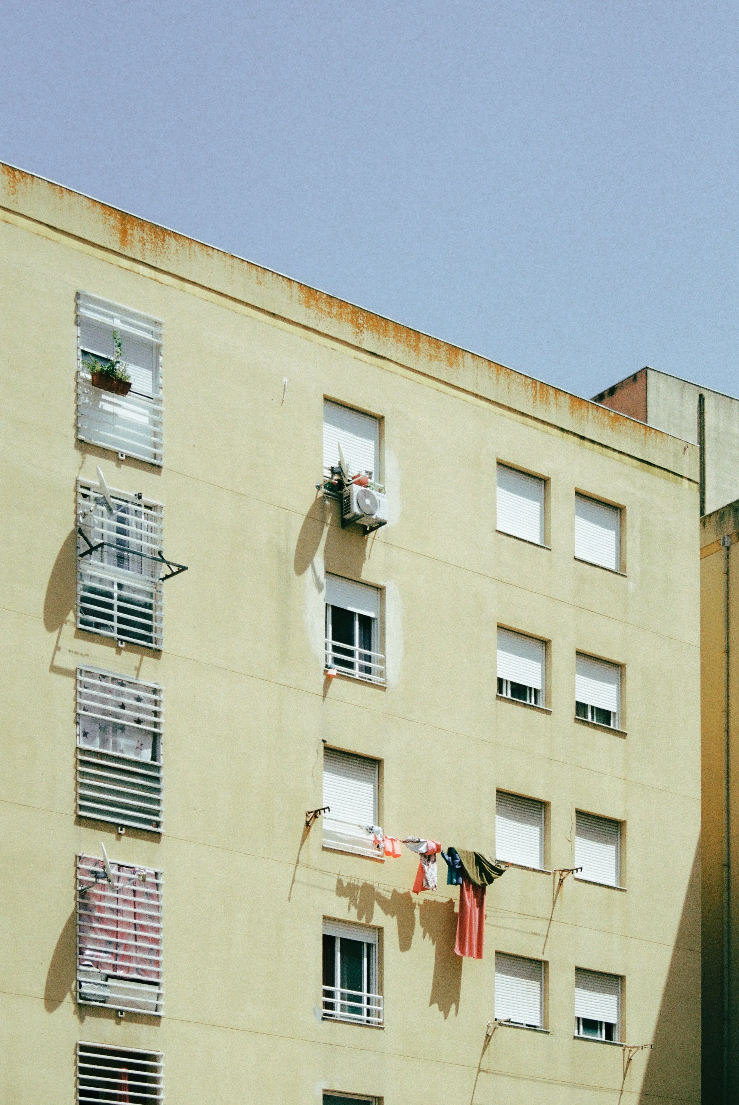 Steven Cruz: ANGÚSTIA SILENCIOSA| Clervaux Cité de l'image — Musée Magazine