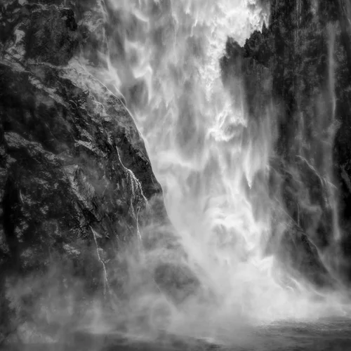 Jeffrey Conley: An Ode to Nature — Musée Magazine