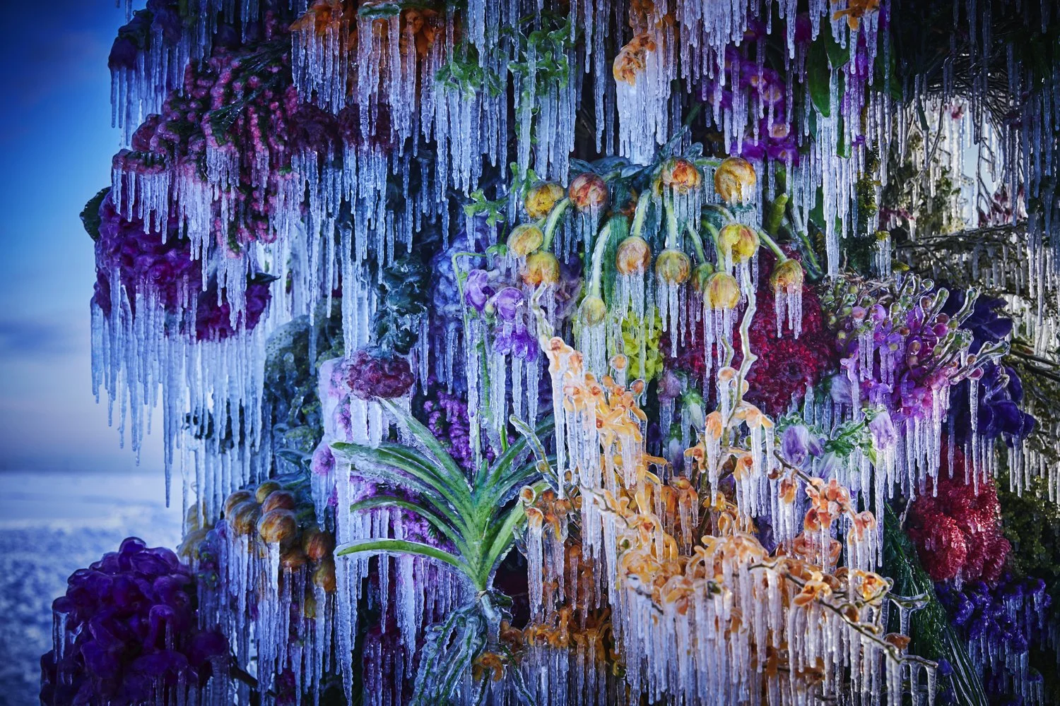 Exhibition Review: Azuma Makoto | Frozen Flowers — Musée Magazine