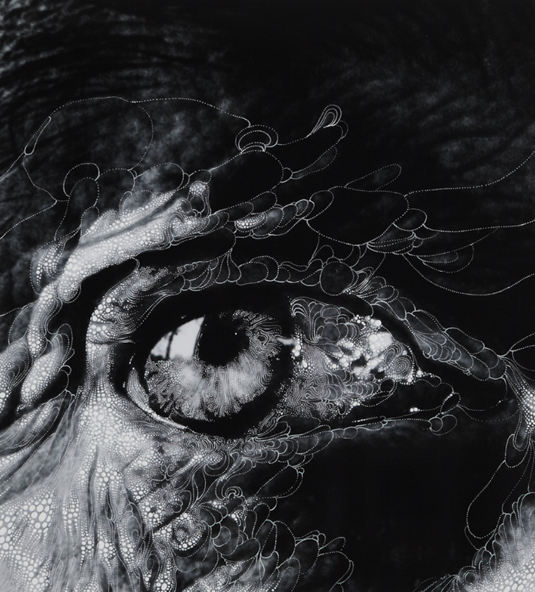 From Our Archives: Sebastiaan Bremer — Musée Magazine