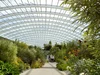 Architecture: The Great Glasshouse Dome in Wales — Musée Magazine