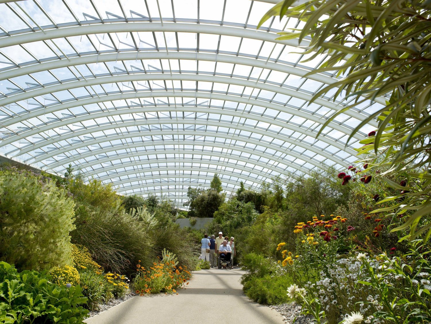 Architecture: The Great Glasshouse Dome in Wales — Musée Magazine
