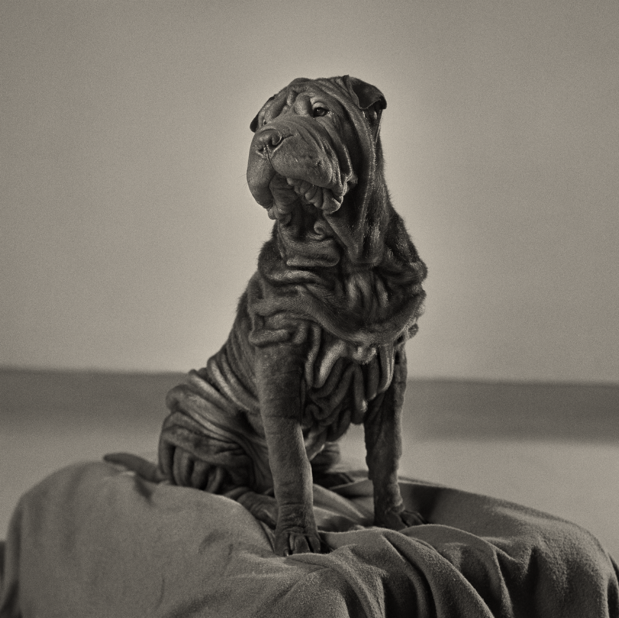 Peter Hujar and Liz Deschenes: Persistence of Vision | Gropius Bau ...