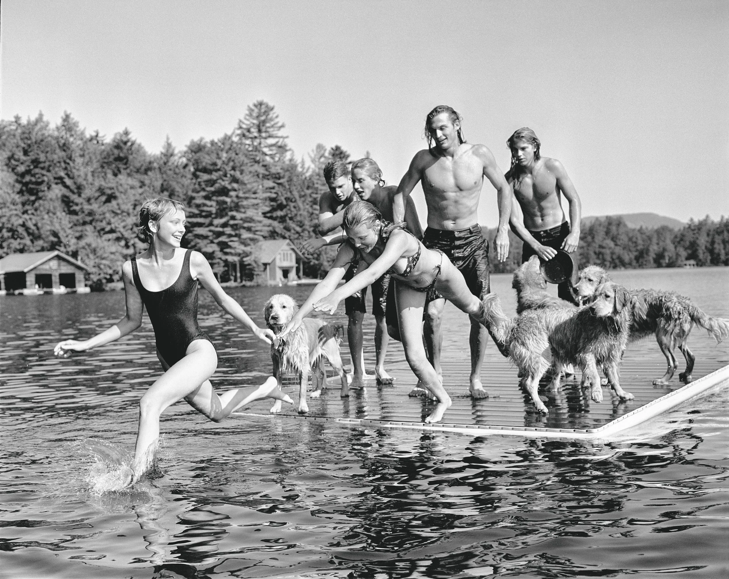 Book Review: Golden Retriever Photographic Society by Bruce Webber ...