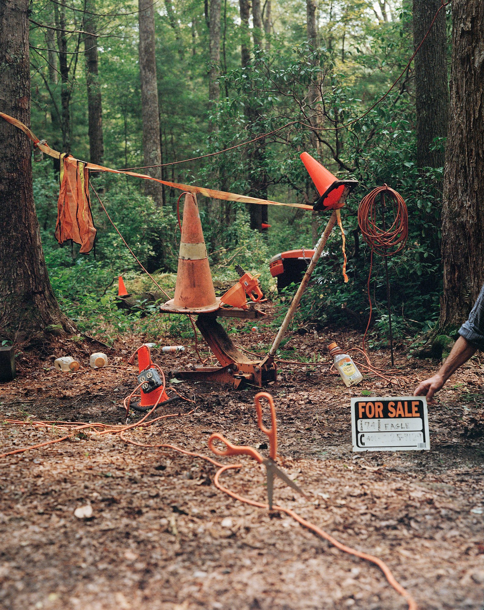 Phoebe Shuman-Goodier | Bad Dogs — Musée Magazine