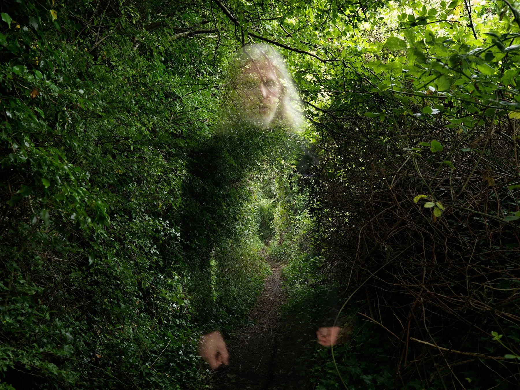 David Farrell: Solastalgia | International Centre for the Image — Musée ...