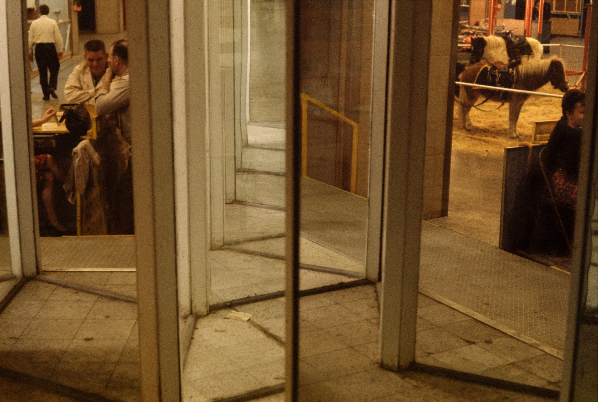 Book Review: Joel Meyerowitz: A Question of Color — Musée Magazine