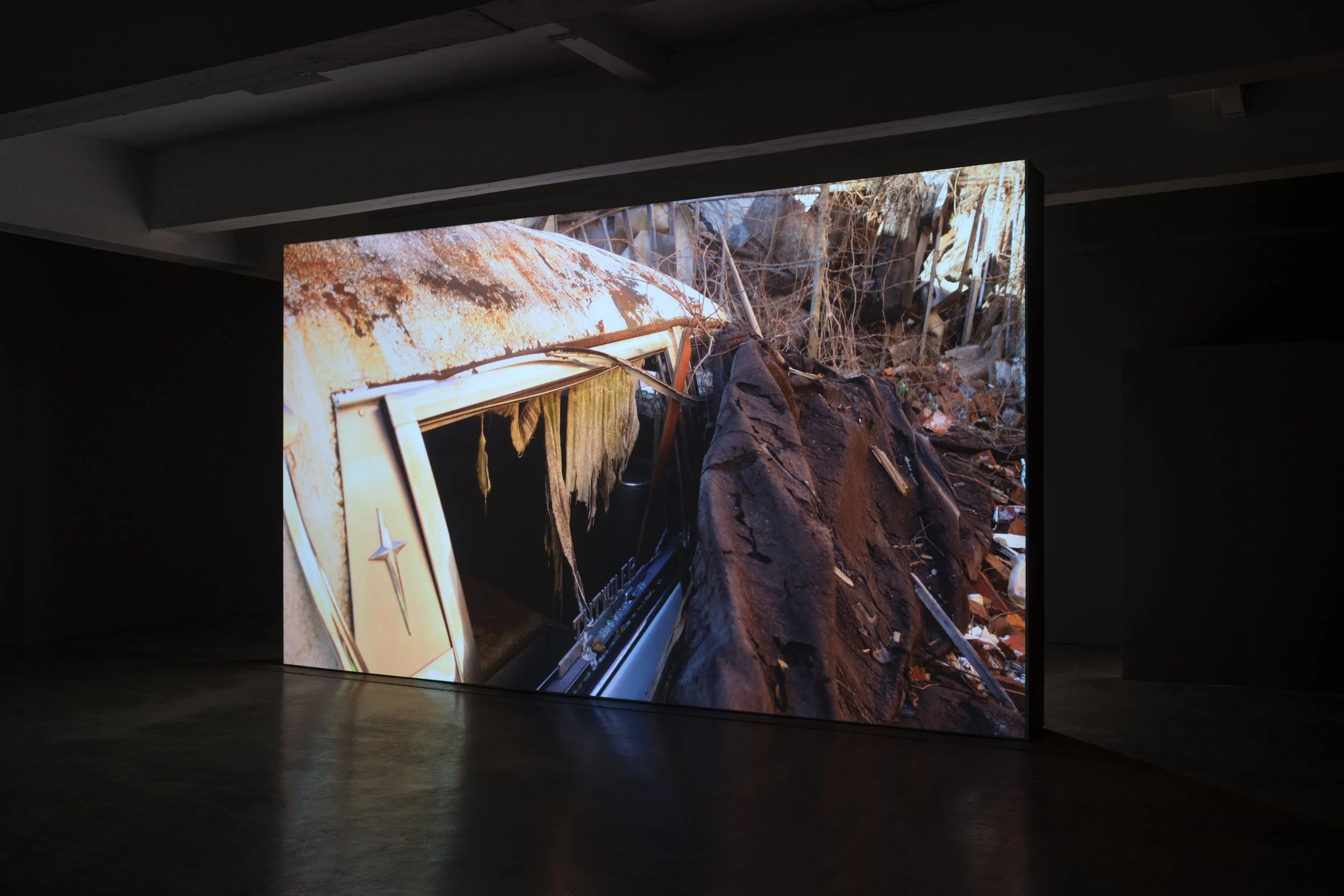 Ralph Lemon: From Out of Space | Paula Cooper Gallery — Musée Magazine