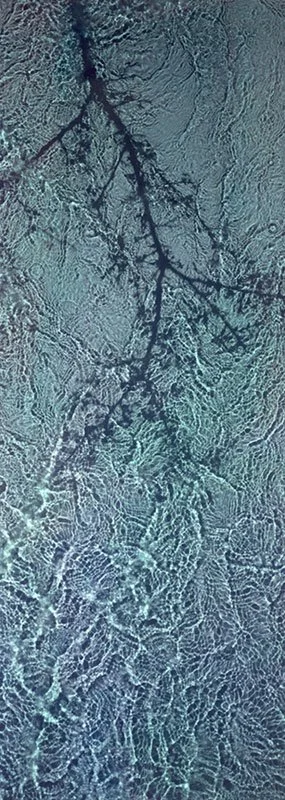 Exhibition Review: Susan Derges "Rivers" — Musée Magazine