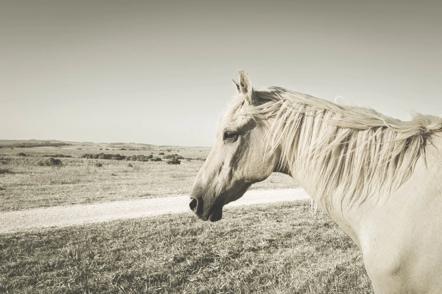 Book Review: Life's Fragile Moments by Julian Lennon | teNeues — Musée ...