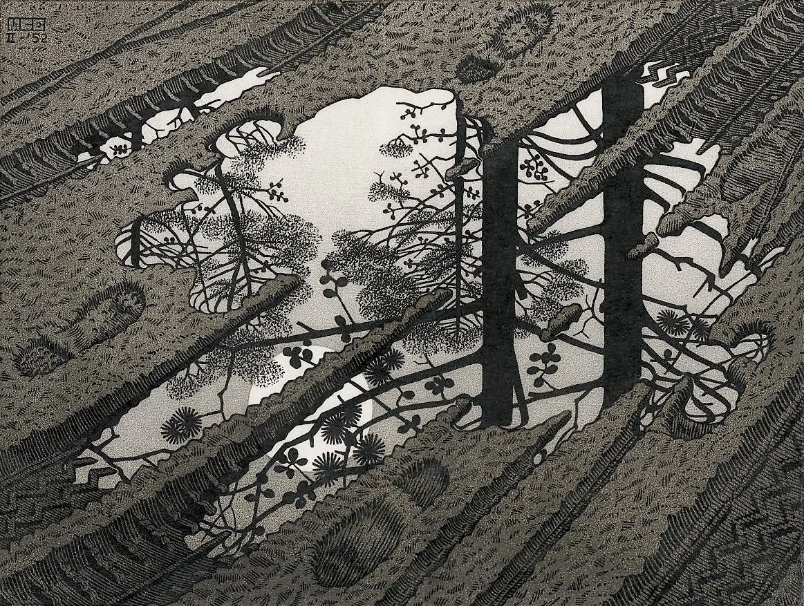 Between Order and Chaos: André Kertész and M. C. Escher | Bruce ...