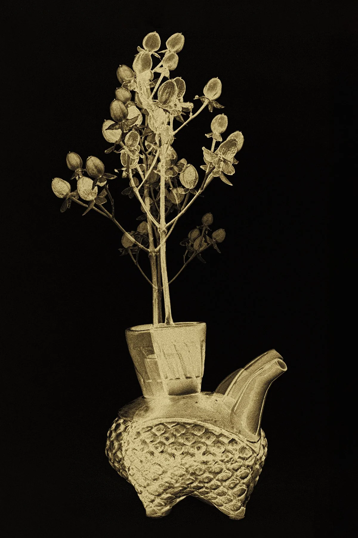 Piper Smith: The Way of Flowers | Soho Photo Gallery — Musée Magazine