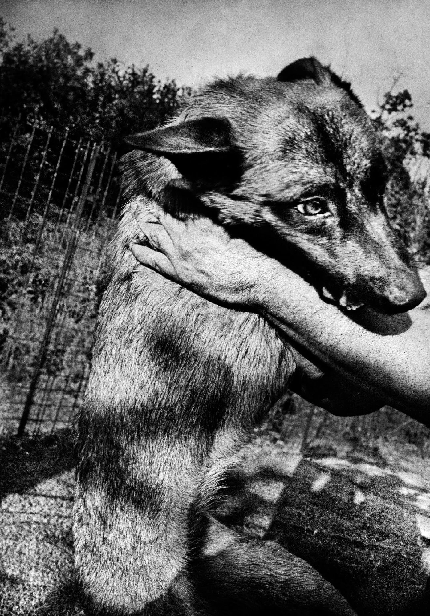 Anders Petersen: Napoli | Spot Home Gallery — Musée Magazine