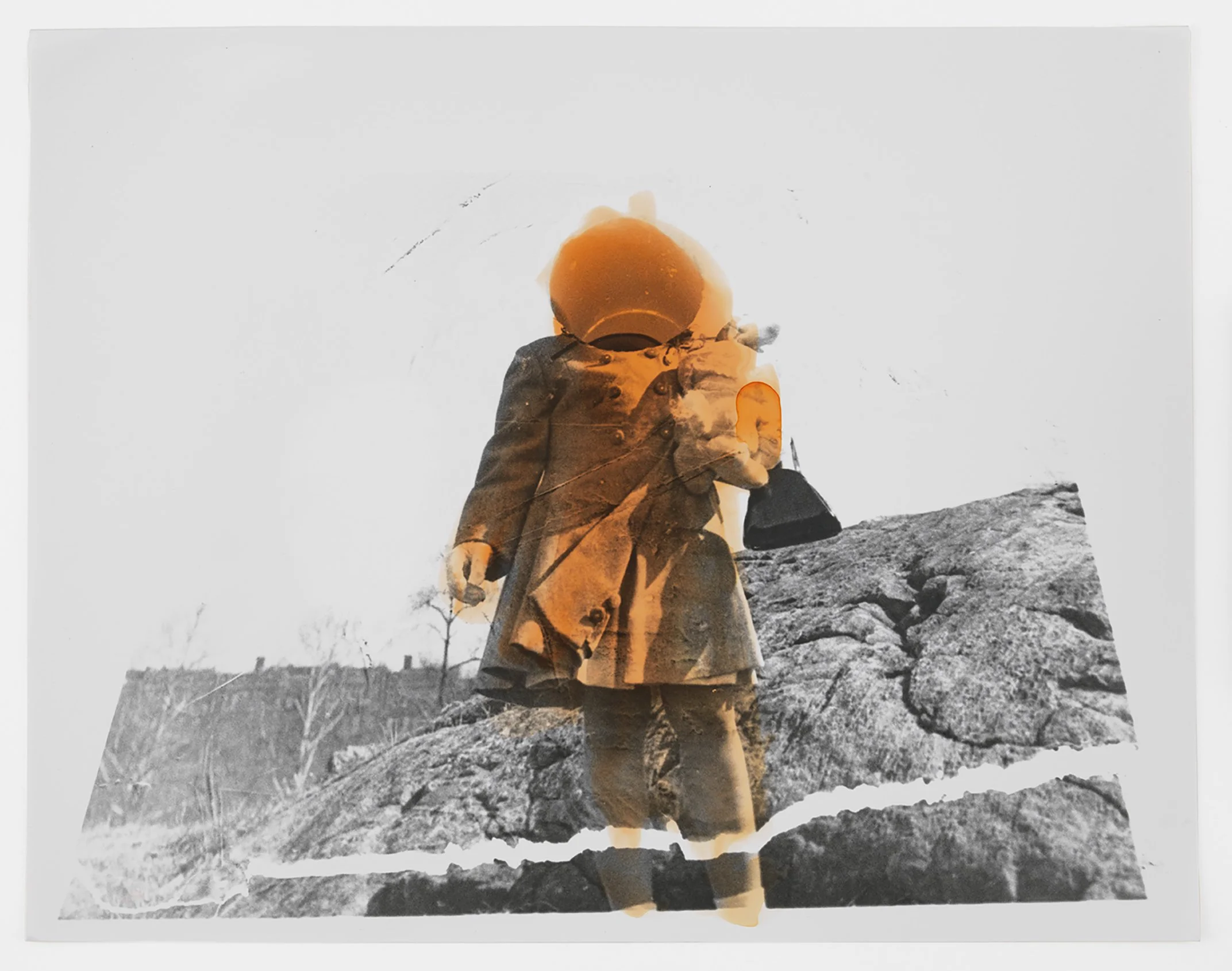 Darrel Ellis | Regeneration — Musée Magazine